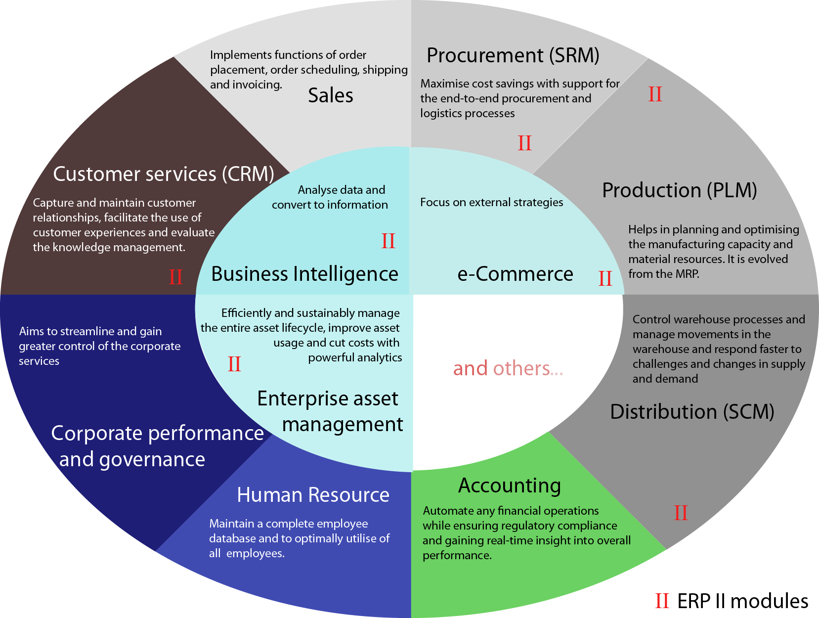 Custom ERP Development | SAP ERP Services in Singapore, Malaysia