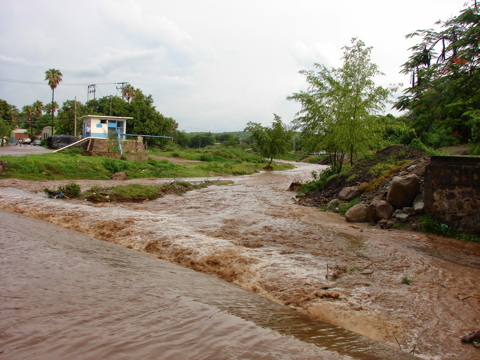 Good2Go2Mexico: Alamos Arroyos after a Good Rain