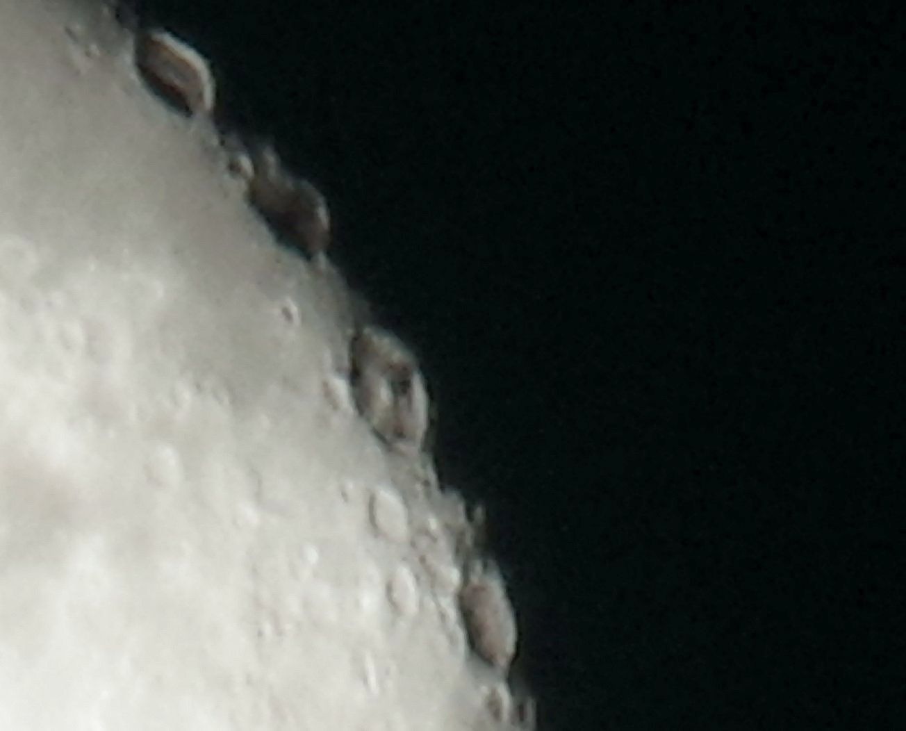Birds of the Heath: Terrific craters on the Moon's terminator