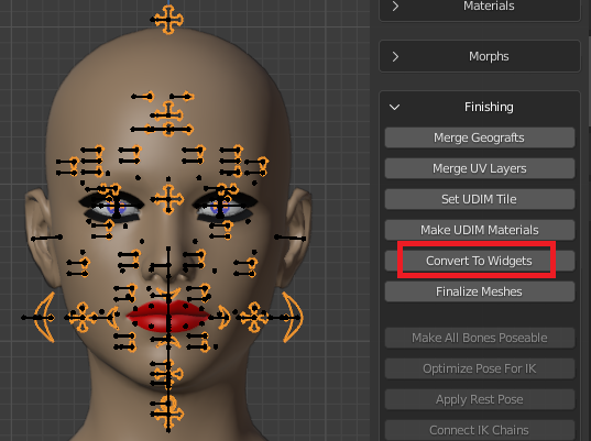 Diffeomorphic: Finishing Section