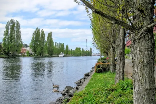 3 of the Best Itineraries to do Seattle in a Day | Sidewalk Safari ...