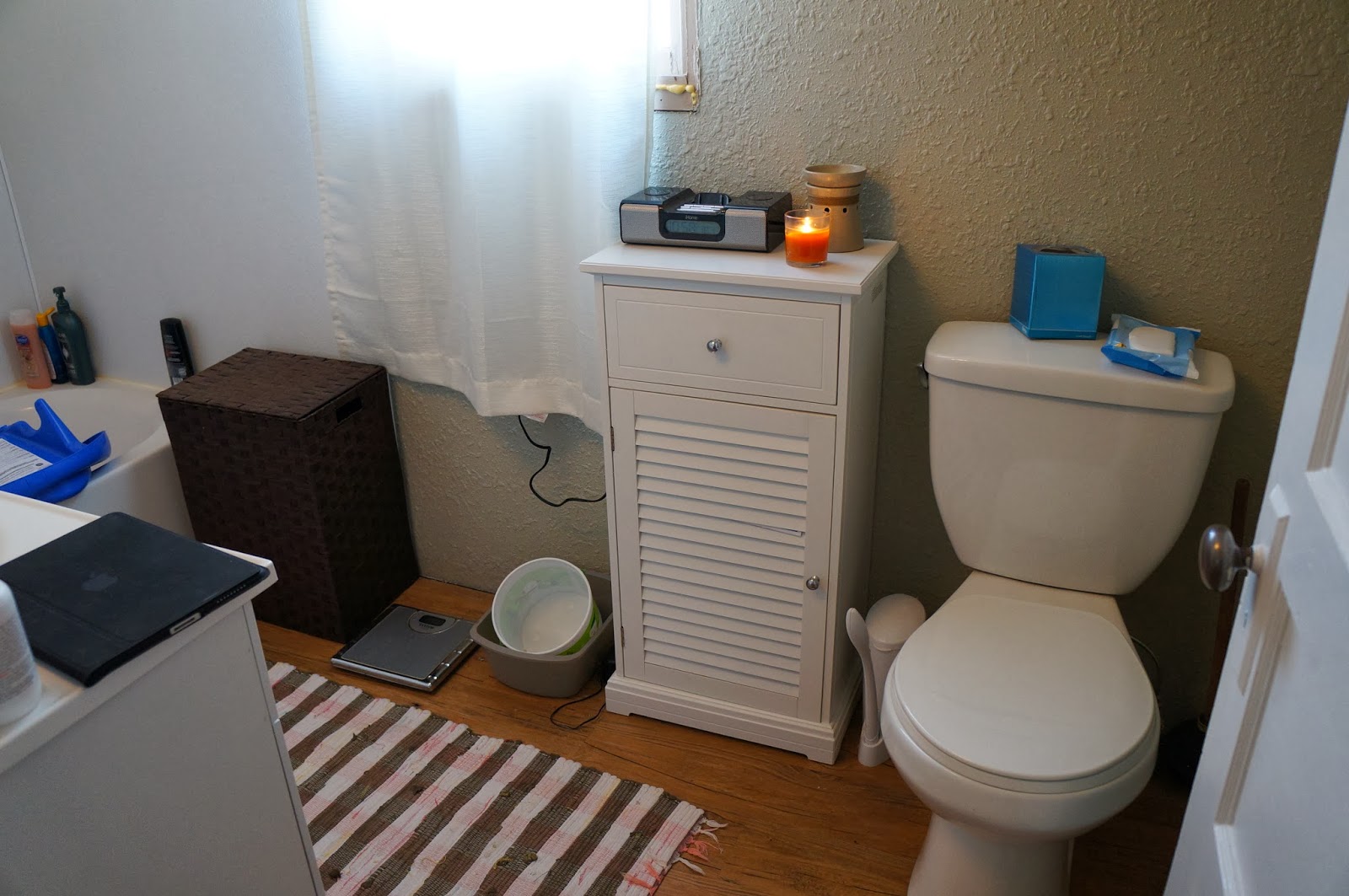 The Sunny Path: Cleansing Your Home: Part 1: The Bathrooms