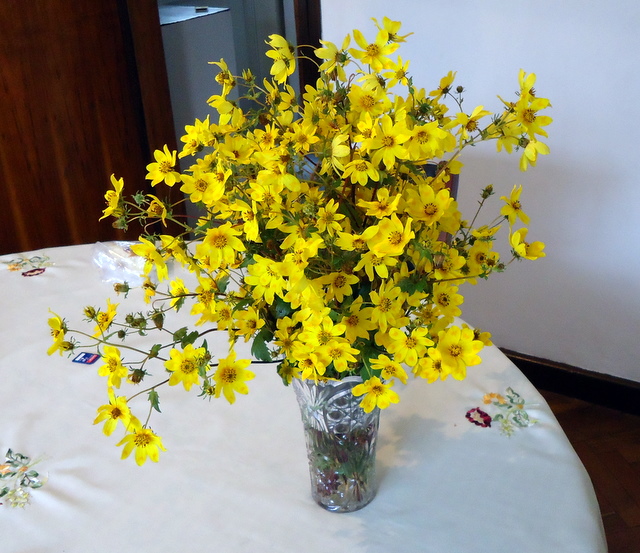 The PULSE of Ethiopia: Meskel Holiday Celebration