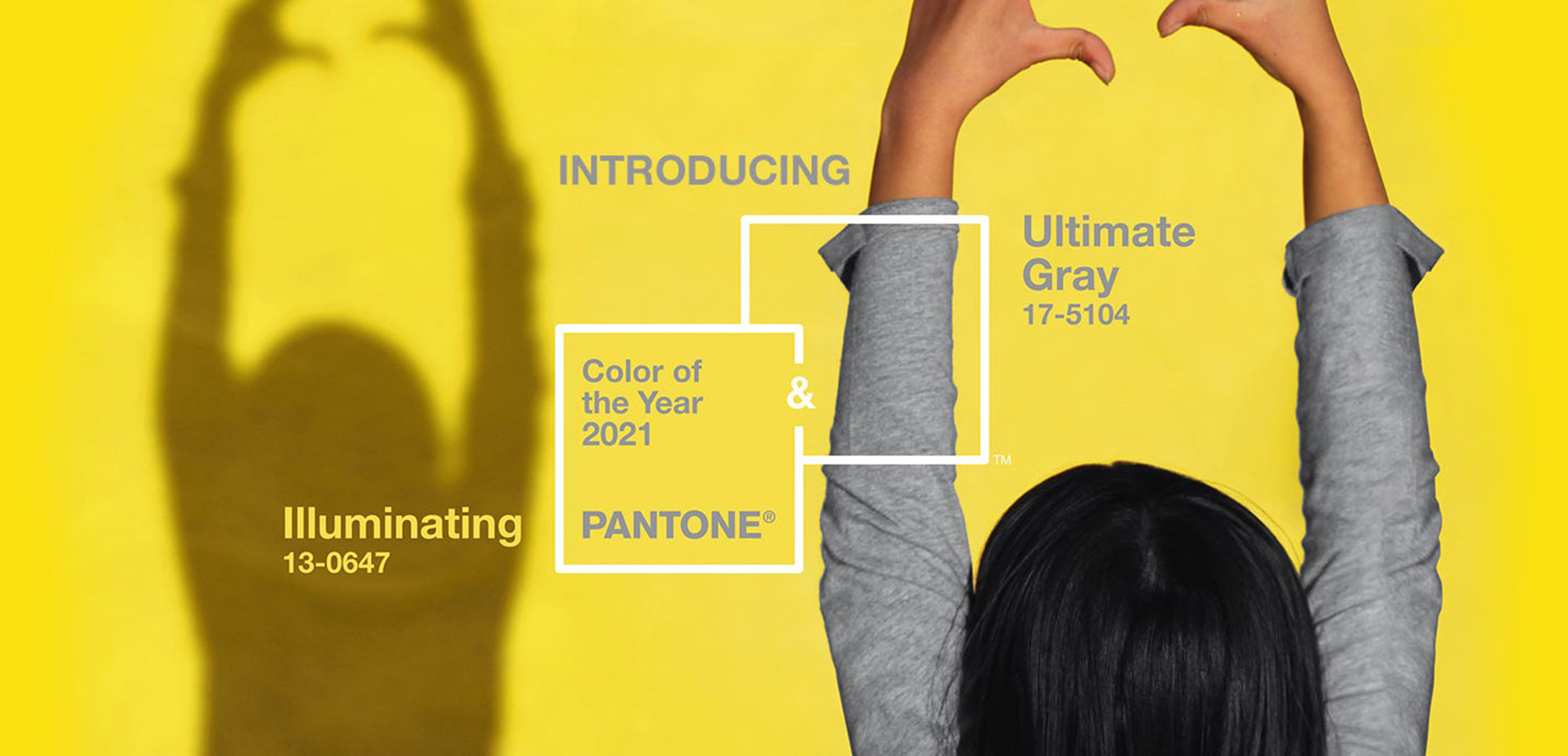 Oregon Duck Tracker : Ducky color of the year