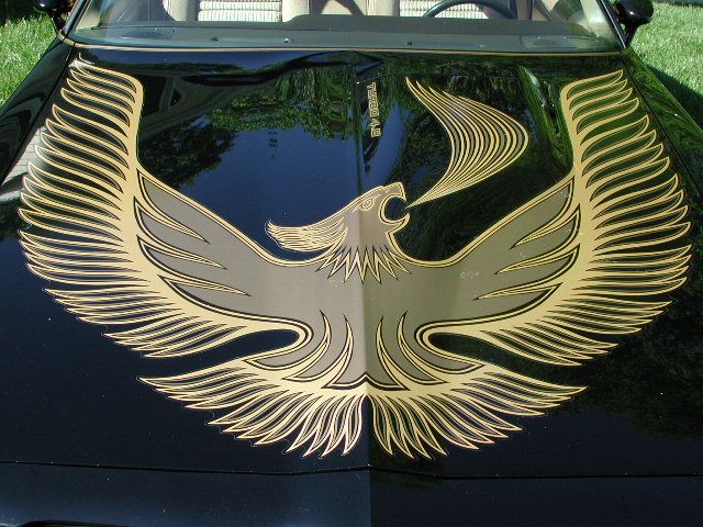 Just A Car Guy: the screaming eagle, flaming chicken... the Trans Am ...