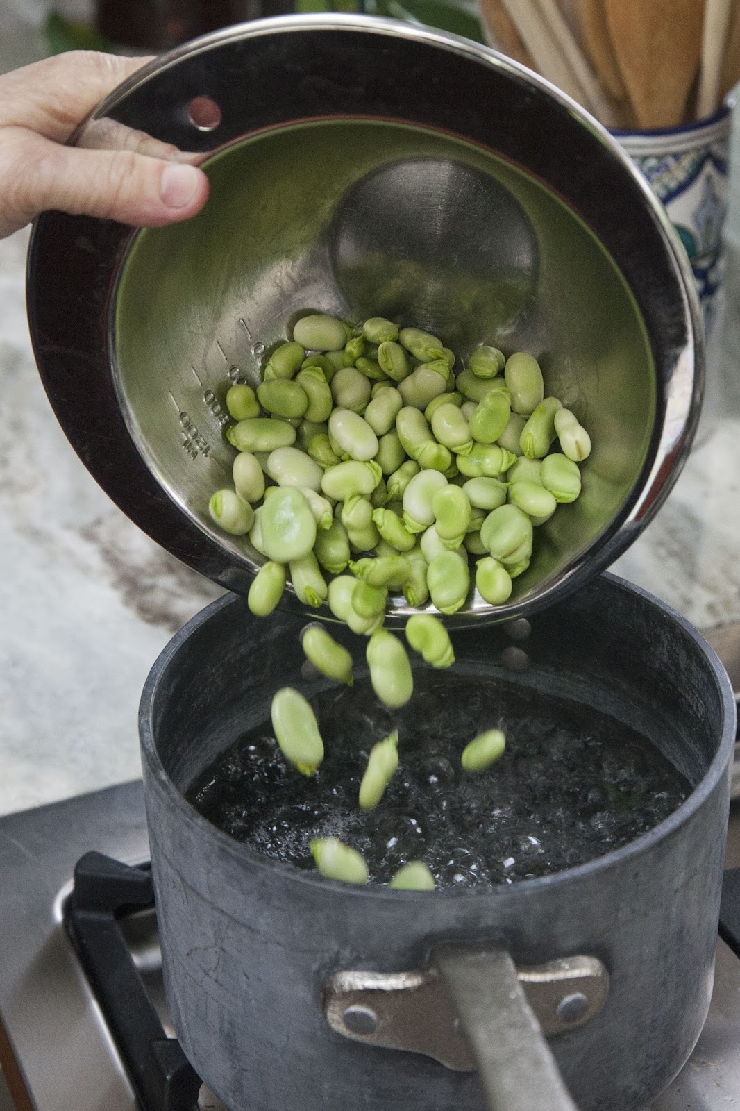 The Colors Of Indian Cooking: Fast and Healthy, Spiced Roast Favas. You ...