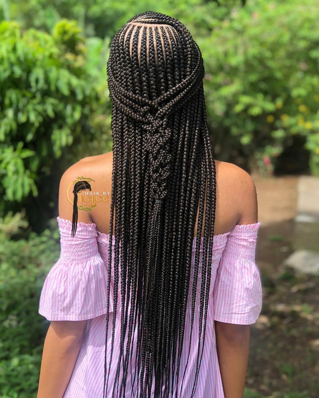 Collection 98+ Pictures Different Types Of Braids With Pictures Latest
