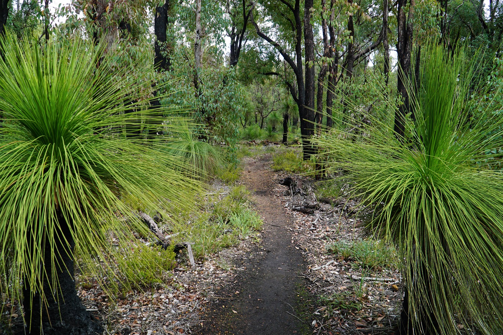 Abyssinia Rock Walk GPS Route (Jarrahdale State Forest) ~ The Long Way ...