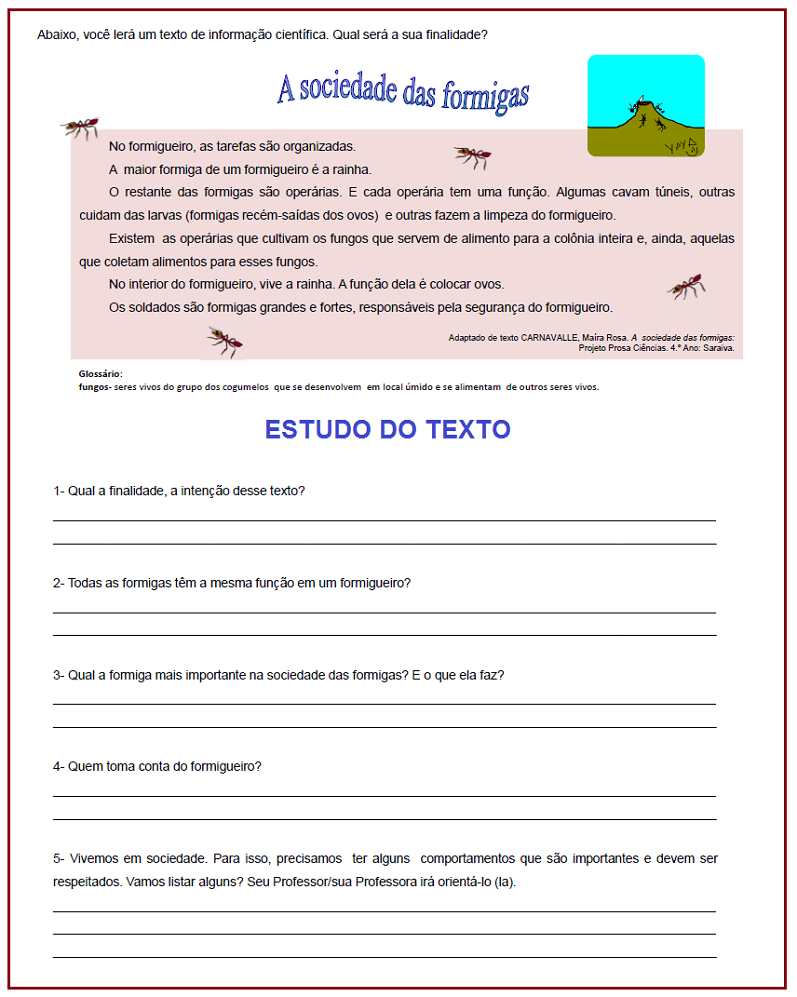 ALFABETIZAÇÃO DIVERTIDA: TEXTO INFORMATIVO