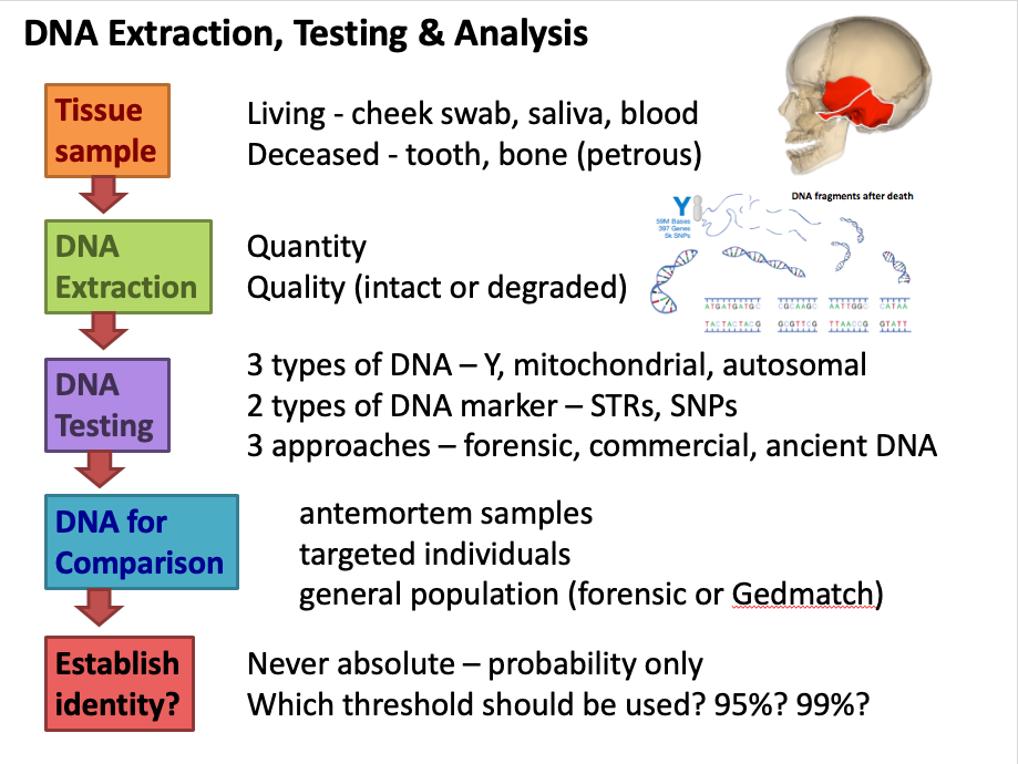DNA and Family Tree Research: Digging up your Ancestors - Citizen ...