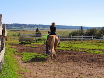Teena in Toronto: Horseback riding at Broadleaf Ranch, NB