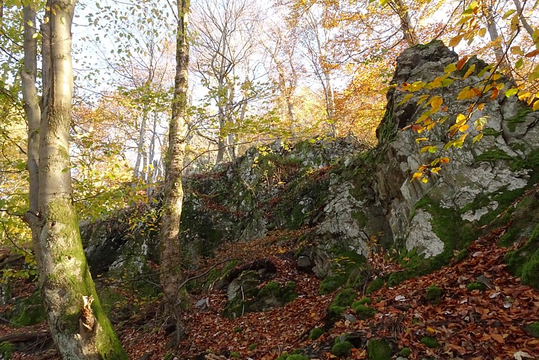 Taunus Wiesbaden: Großer Zacken