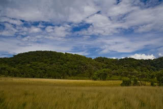 Raven_Wingz: PHAWNGPUI TLANG