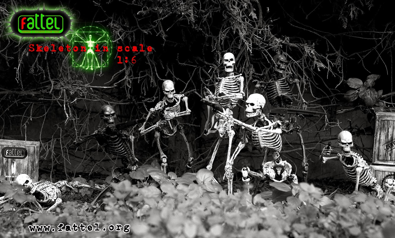 Action figure skeleton by Fattel: 30 cm tall skeleton locked in his box ...