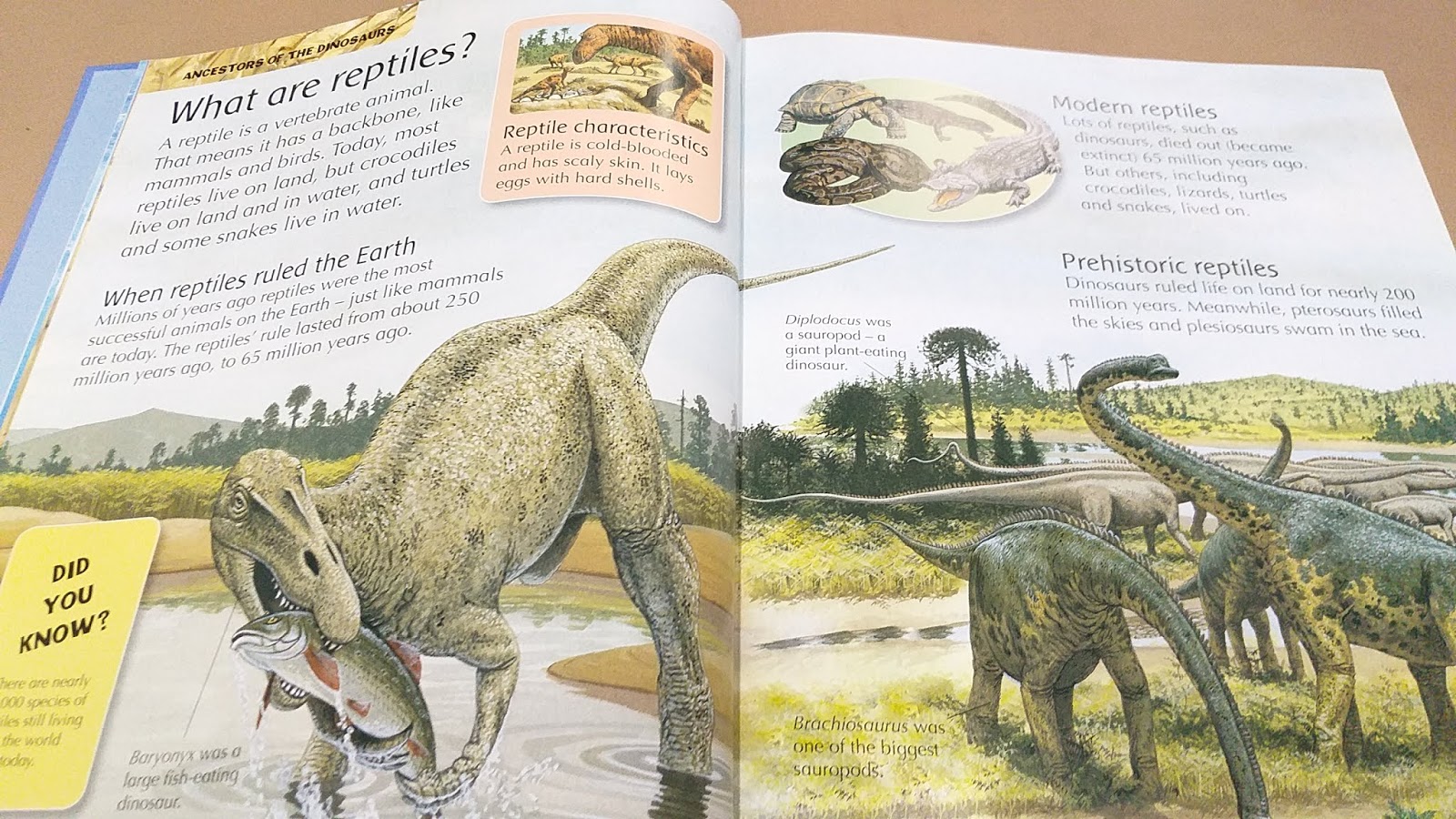 Kid Books Blog: 29.My First Dinosaur Encyclopedia