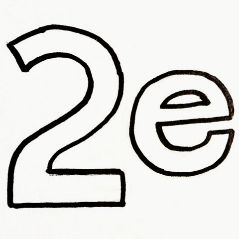 Talent Centered Model for 2E Students