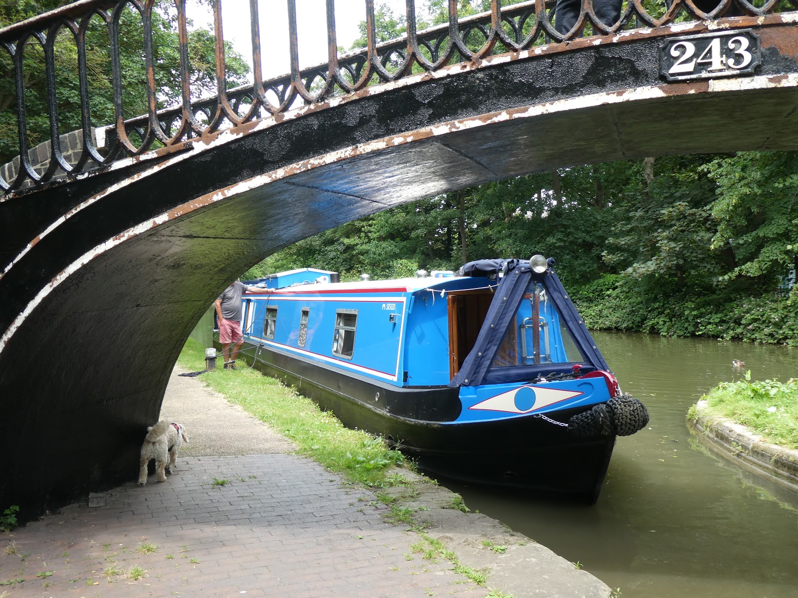 and Millie makes three: South of Donnington Bridge, Oxford (South ...