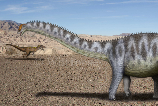 Palaeofauna: Brontosaurus excelsus - the deceptive thunder lizard