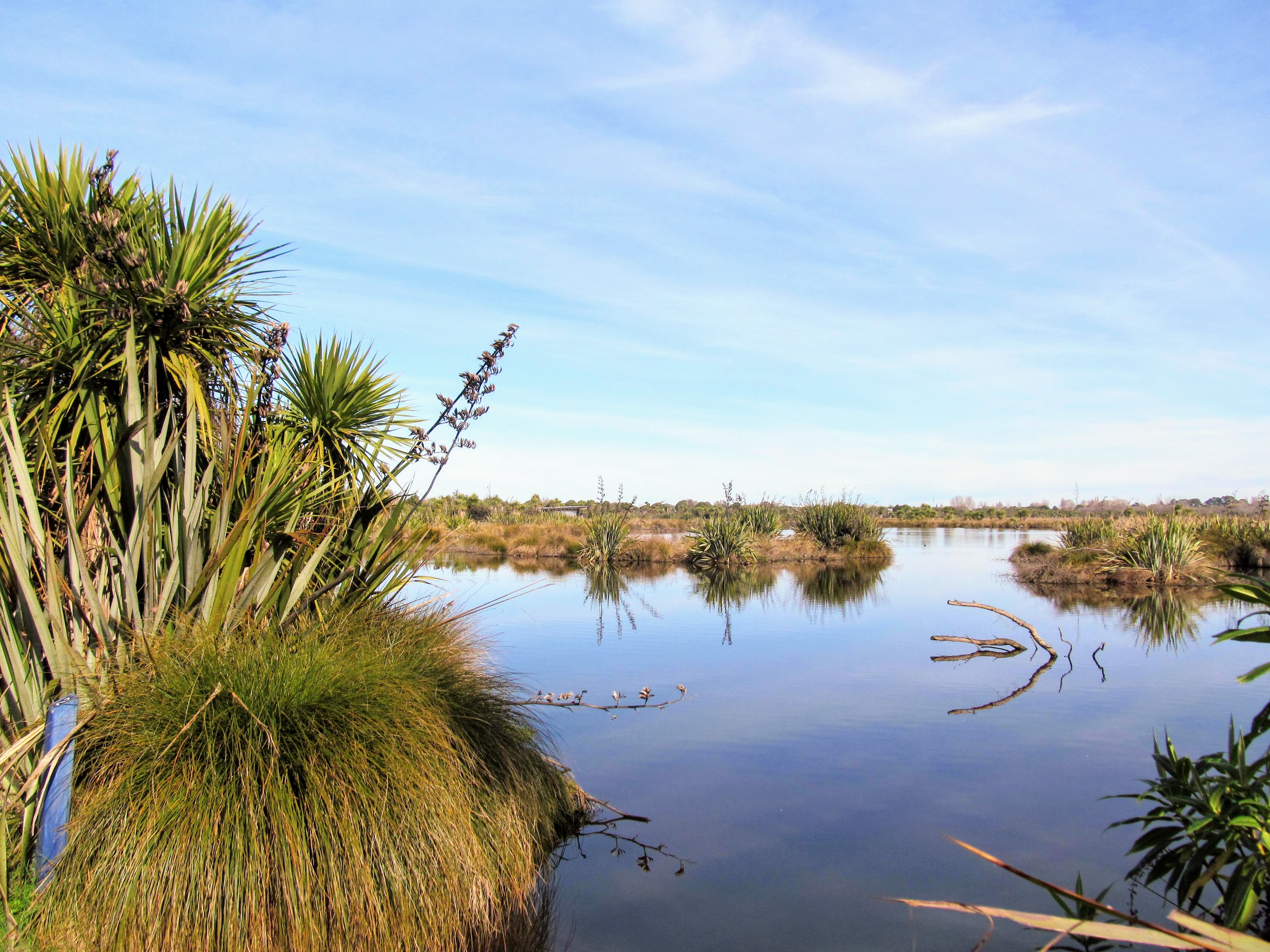 Tramping in the New Zealand backcountry: NZ Bush Adventures