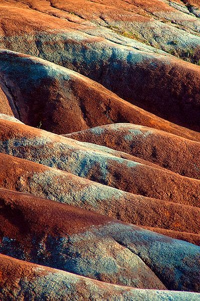 History of the Earth: March 21. Queenston delta