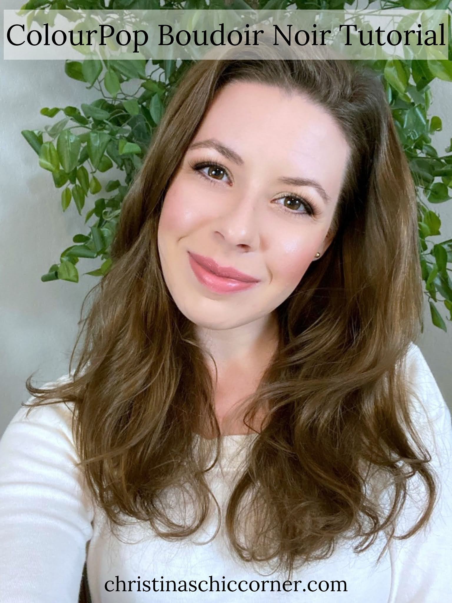 ColourPop Boudoir Noir Palette Tutorial