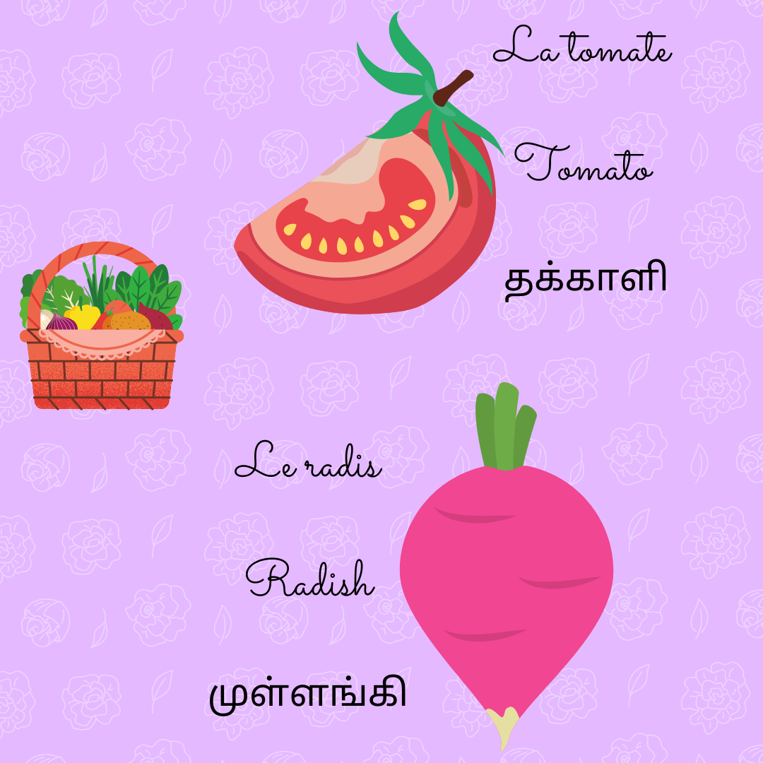 French Vocabulary – Les Legumes