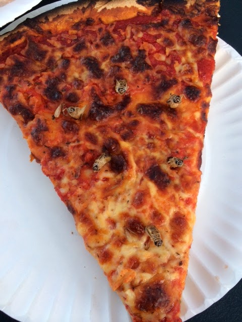 Get Off the Couch: Friday Fandom #2 The Rodeo and Insect Pizza