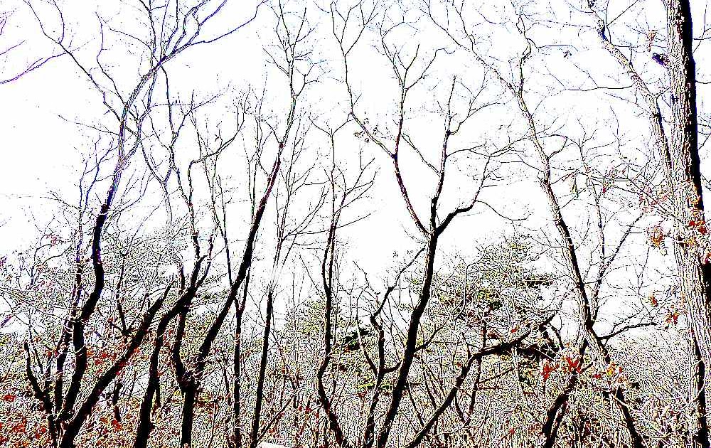 The Scriptures: Mark-05-27