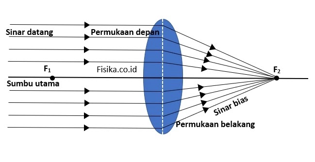 Lensa Cembung: Sifat Bayangan, Sinar Istimewa, Rumus, Contoh Soal | Fisika