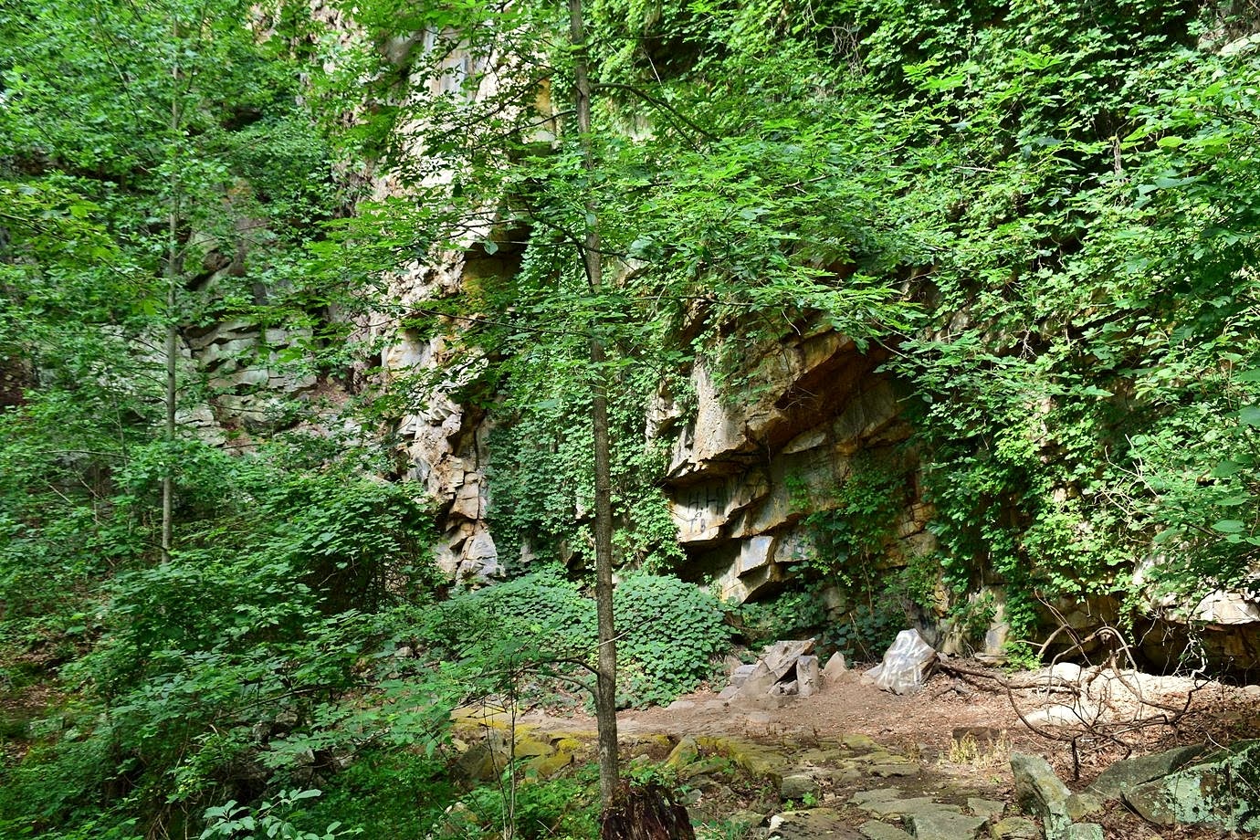 Waterfall Hero Hikes: Pinnacle Rock State Park (WV)