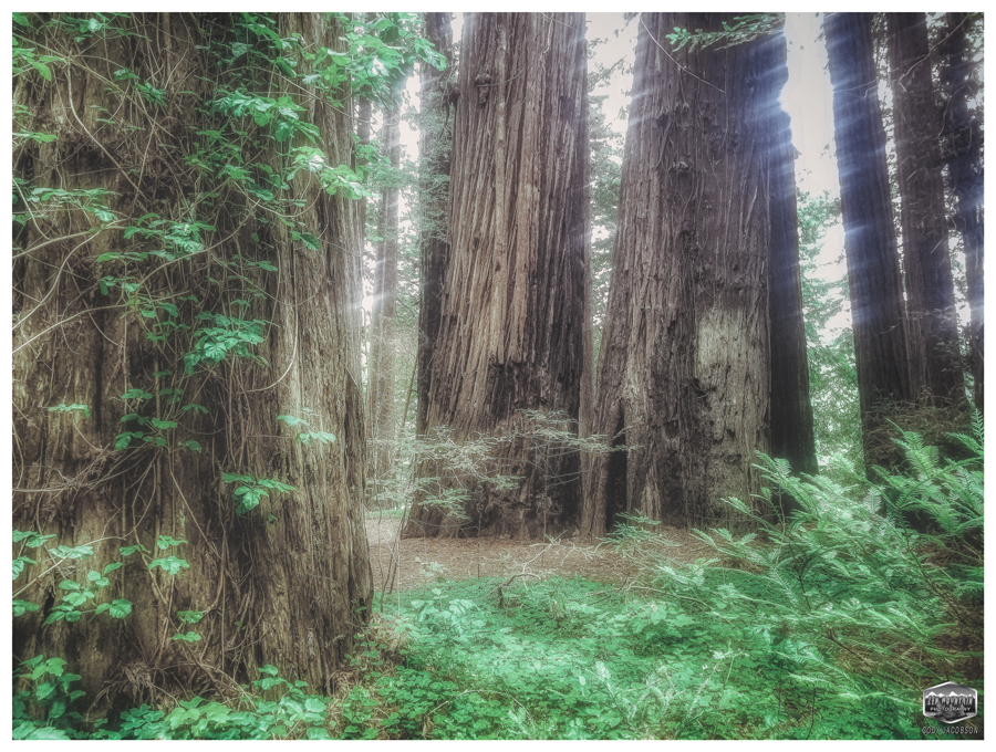 ZEN MOUNTAIN PHOTOGRAPHY - CODY JACOBSON