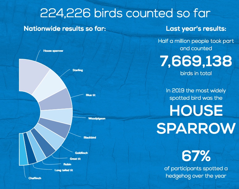 Wild and Wonderful: RSPB Big Garden Birdwatch, 2020