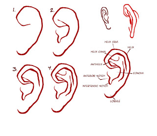 manga: drawing a character