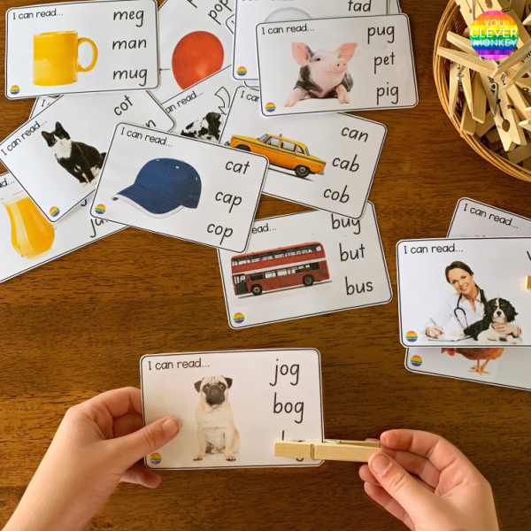 LEARNING TO READ CVC WORDS | you clever monkey