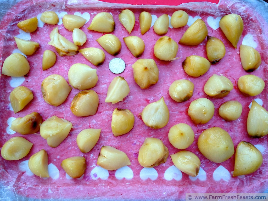 Farm Fresh Feasts: All About Garlic