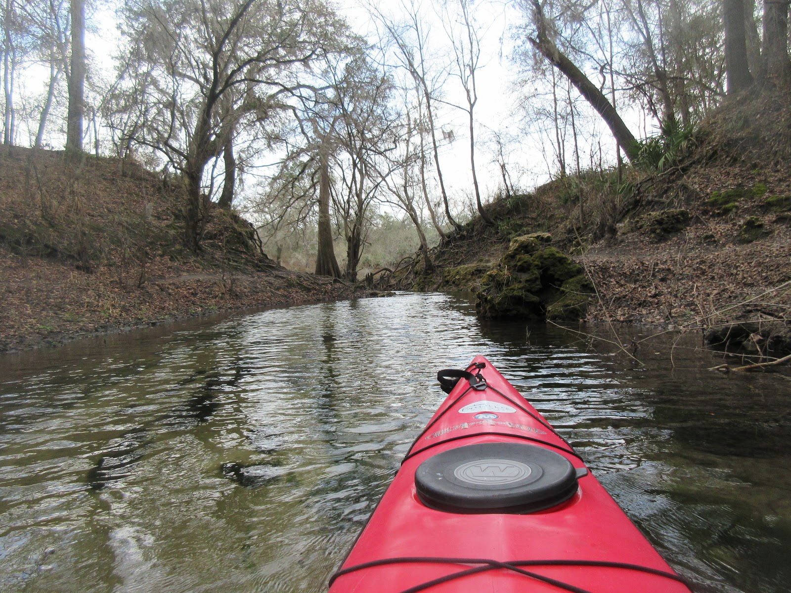 Dave's Yak Tales: Suwannee River. Up from Lafayette Blue to Charles ...