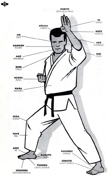 Karate Shito Ryu y Zen: Posiciones