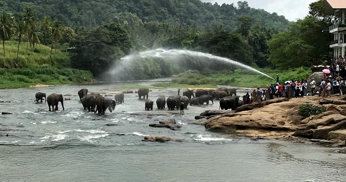 ごろごろ: Hotel Elephant Bay