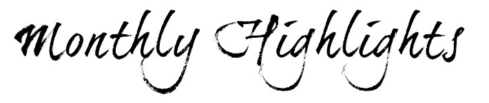 Monthly Highlights - January 2017 | Savannah Grace Writes: Monthly ...