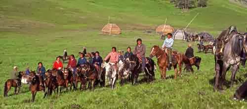 Retired--Now What?: Horse Year Photo Addendum