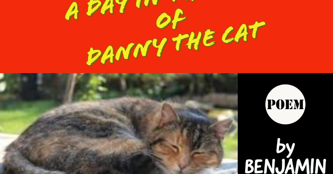 A day in the life of Danny The Cat (poem)