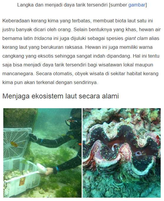 Mengenal Kerang Kima, Hewan Laut Super Langka yang Keberadaanya Membuat ...