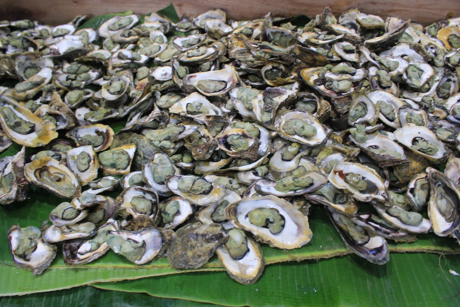 Capiz — The Seafood Capital of the Philippines