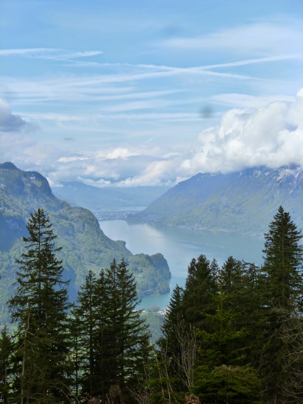 Skiclub Brienzwiler: Bilder