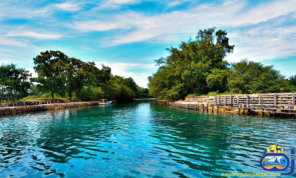 Hening dan Bening di Pulau Pemagaran | Explore Pulau Seribu Indonesia
