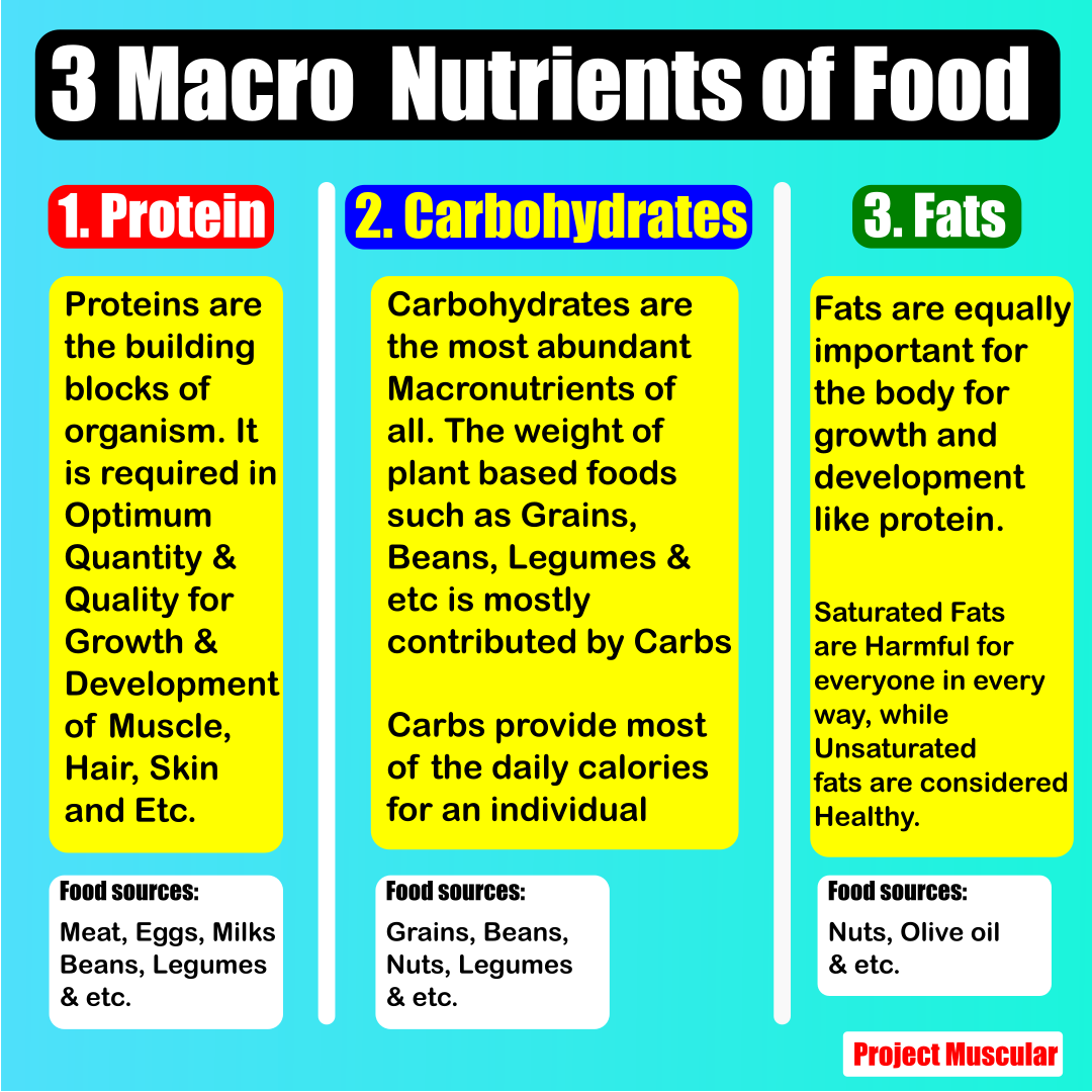 Everything you need to know about bodybuilding diet | Quick and Simple ...