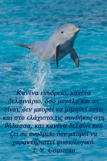 ΕΛΕΥΘΕΡΑ ΔΕΛΦΙΝΙΑ
