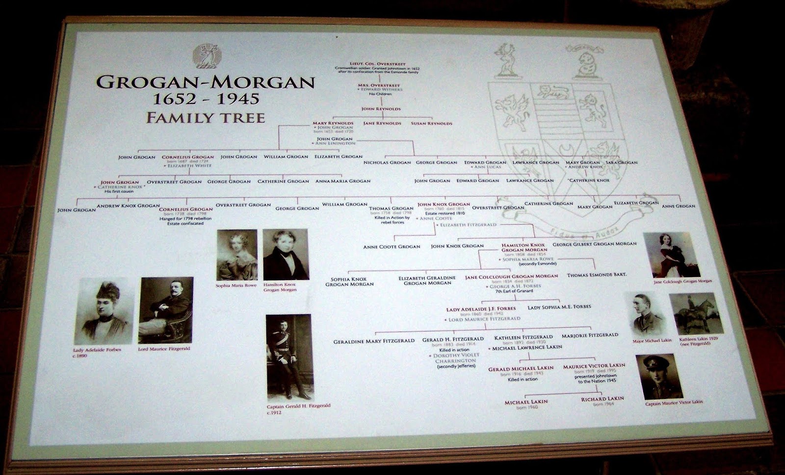 Irish Heraldry: Heraldry at Johnstown Castle, Co Wexford