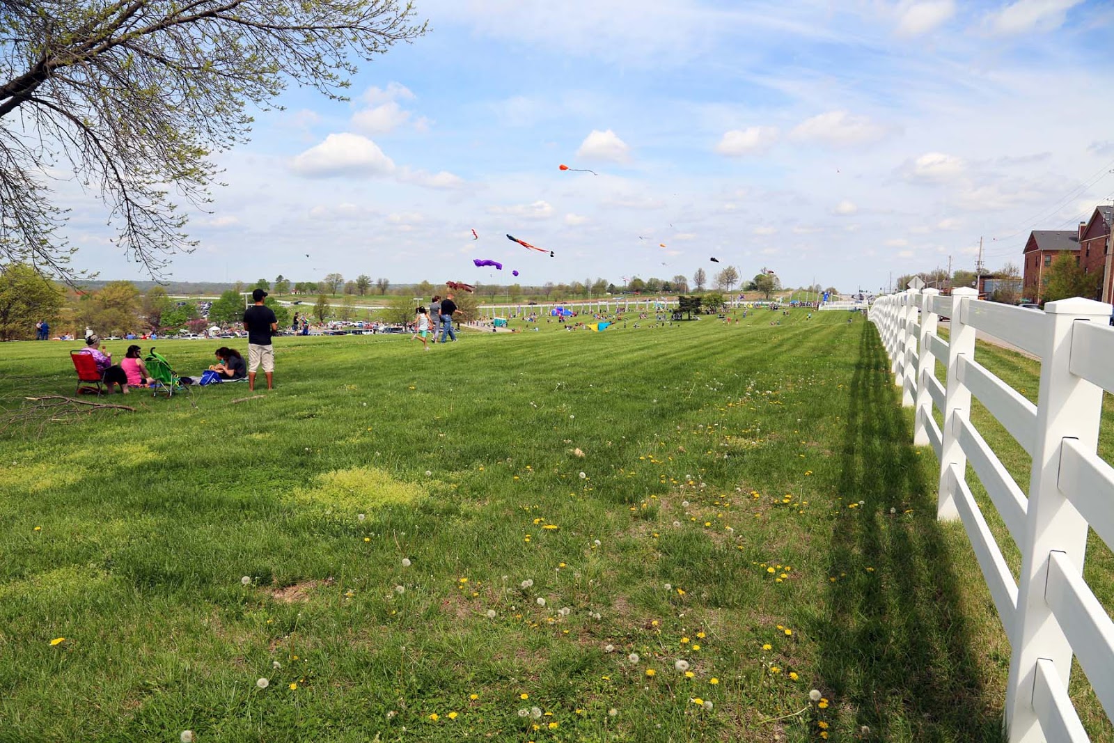 John and Sigrid's Adventures: Annual Kite Fest at Longview Community ...
