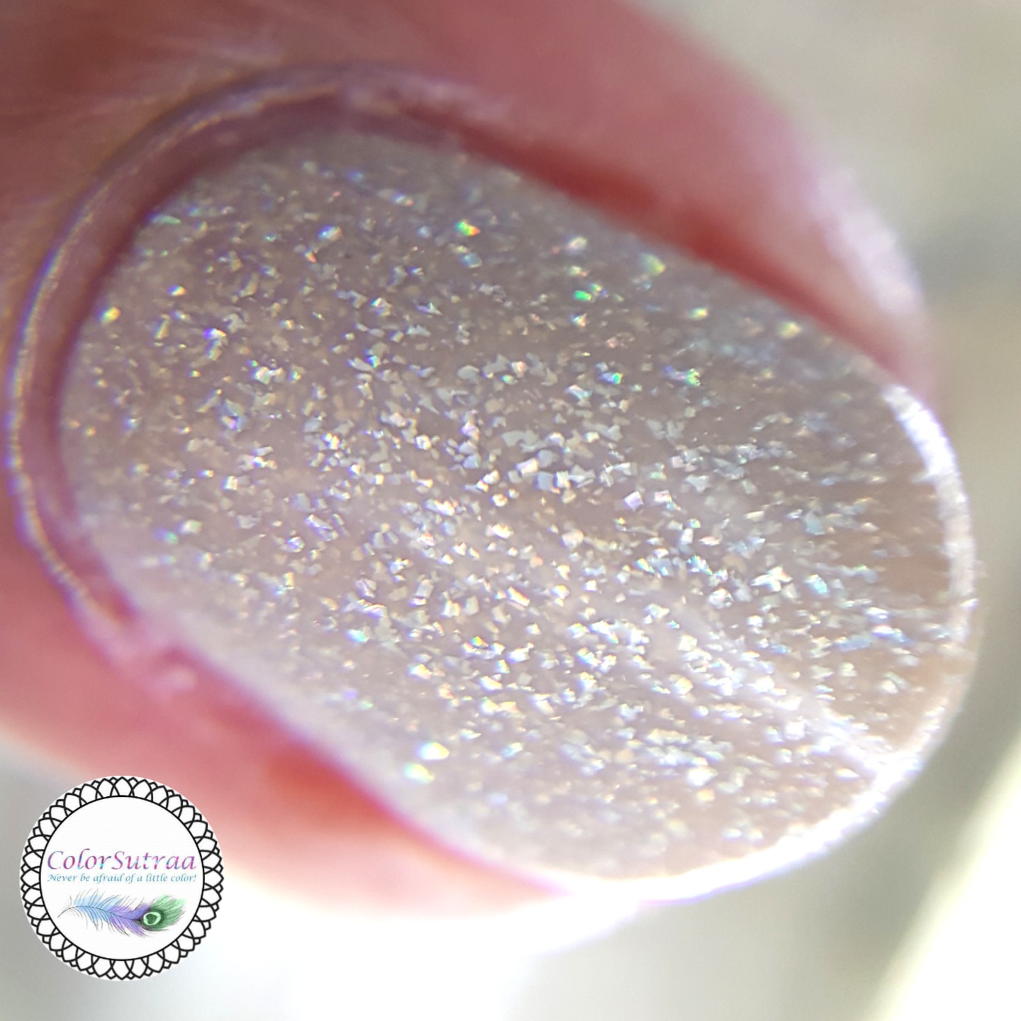 ZOYA WINTER HOLOS COLLECTION: Swatches and Review - ColorSutraa